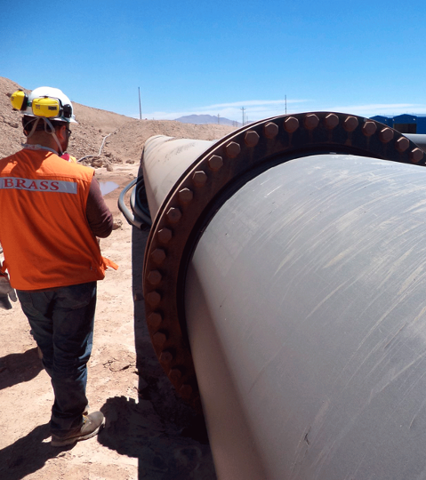 Asset Management - BRASS Engineering